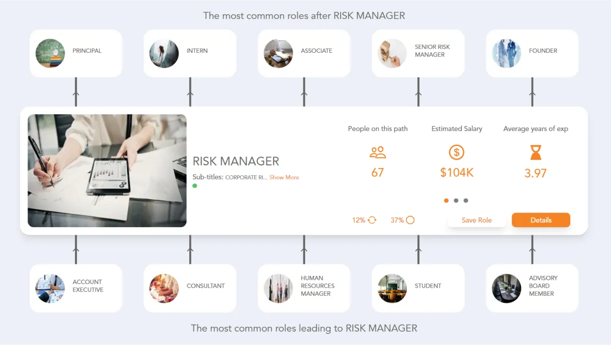 Risk Manager Career Path Jobtrees